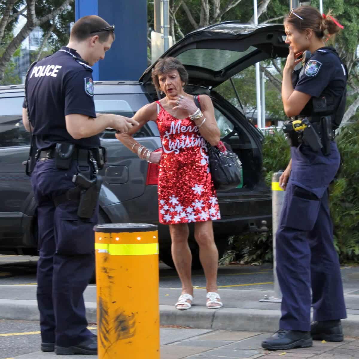 Police Encounters for Citizens – Part 2: Public & Private | The Firearm ...