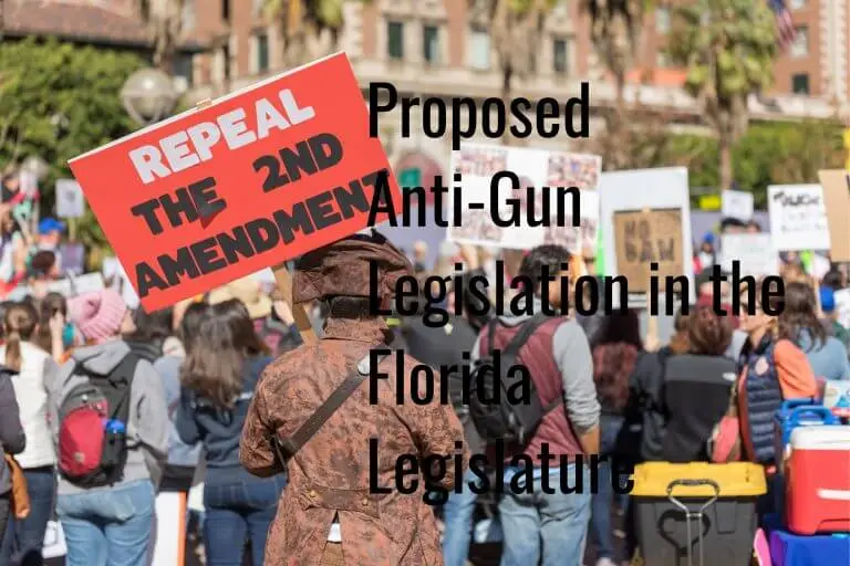 Anti-2nd Amendment Laws Pending in Florida Legislature | The Firearm Firm